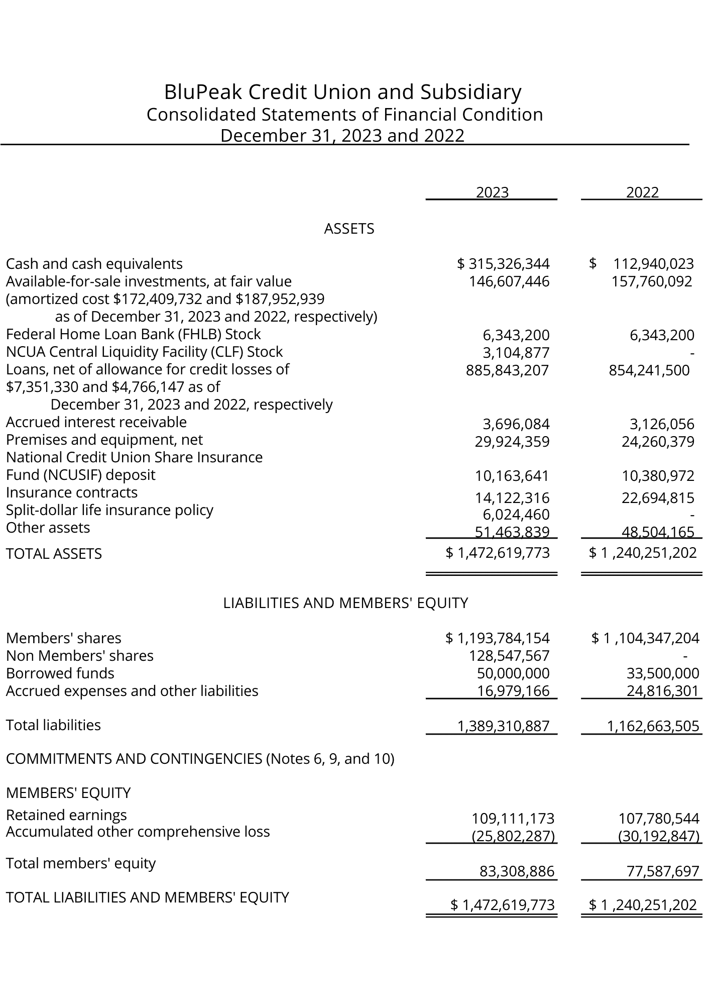 Annual Report | BluPeak Credit Union